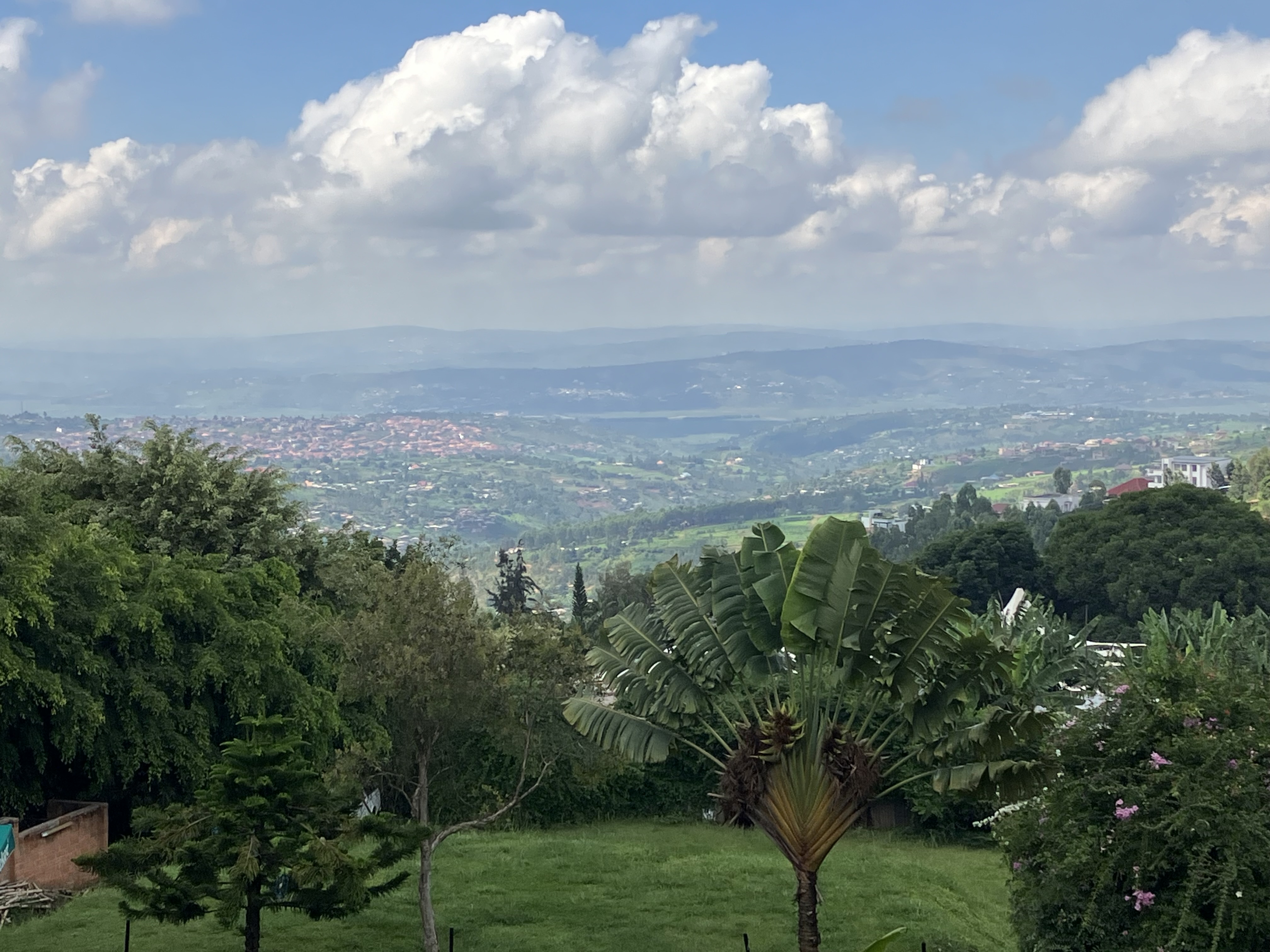 The Campaign against Genocide War in Kigali – Jonathan R Beloff